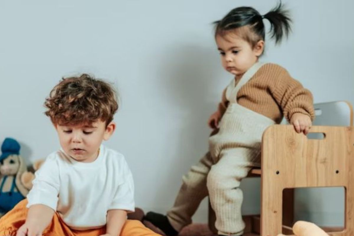 EBT Eligible Toys What You Can Buy with SNAP 2026